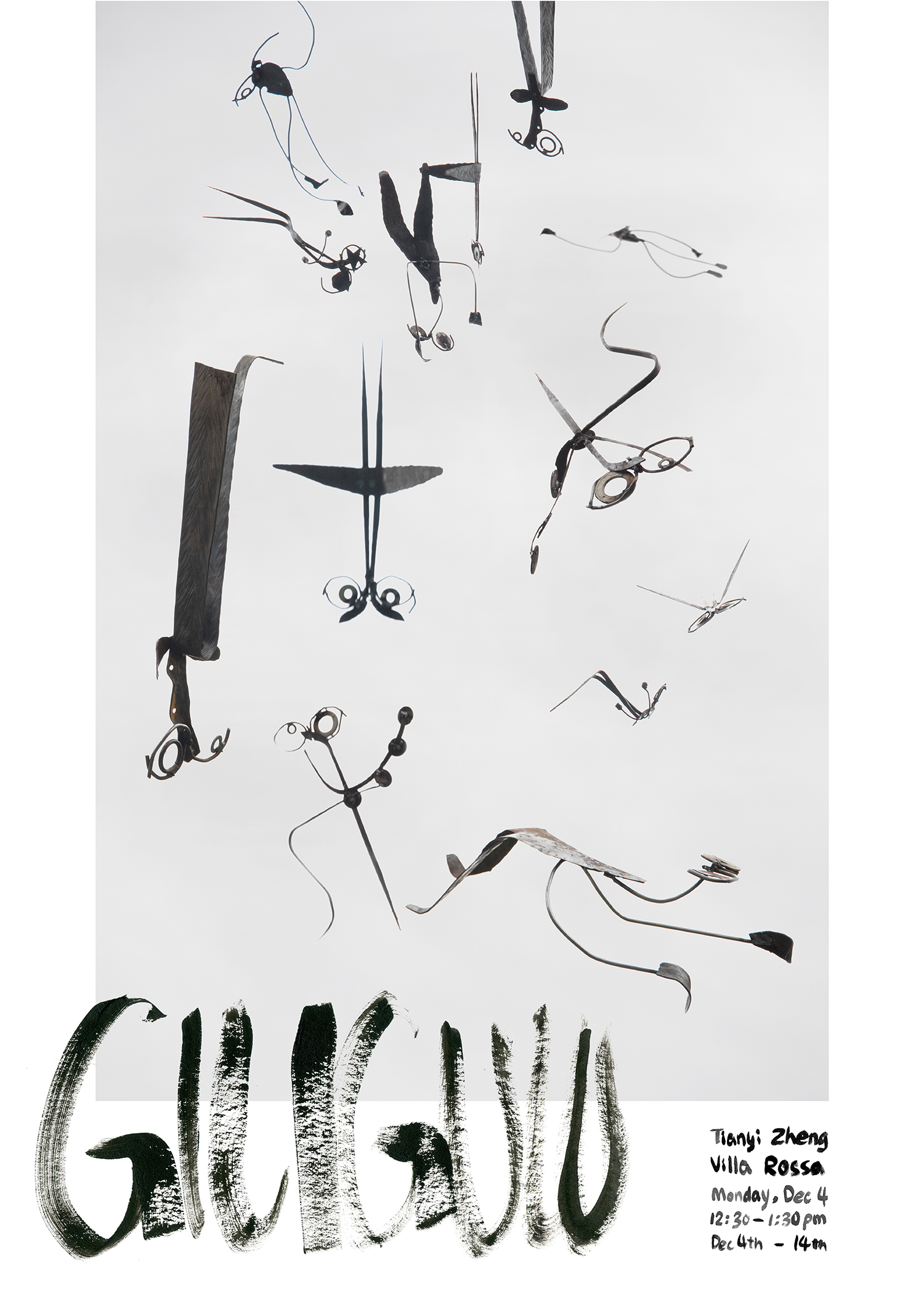 Student Tianyi Zheng Stages Captivating Solo Show at the Villa Rossa ...